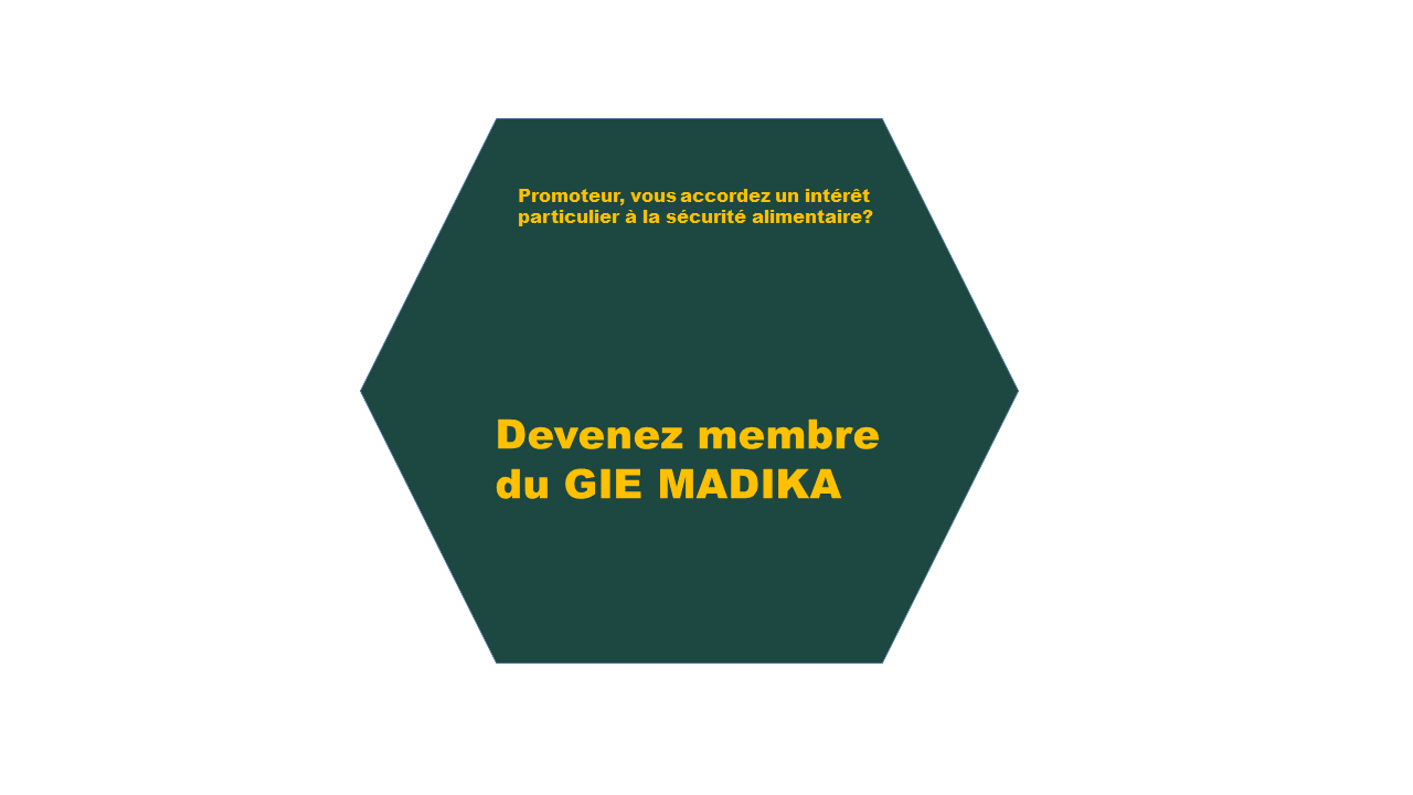 Accueil - MADIKA